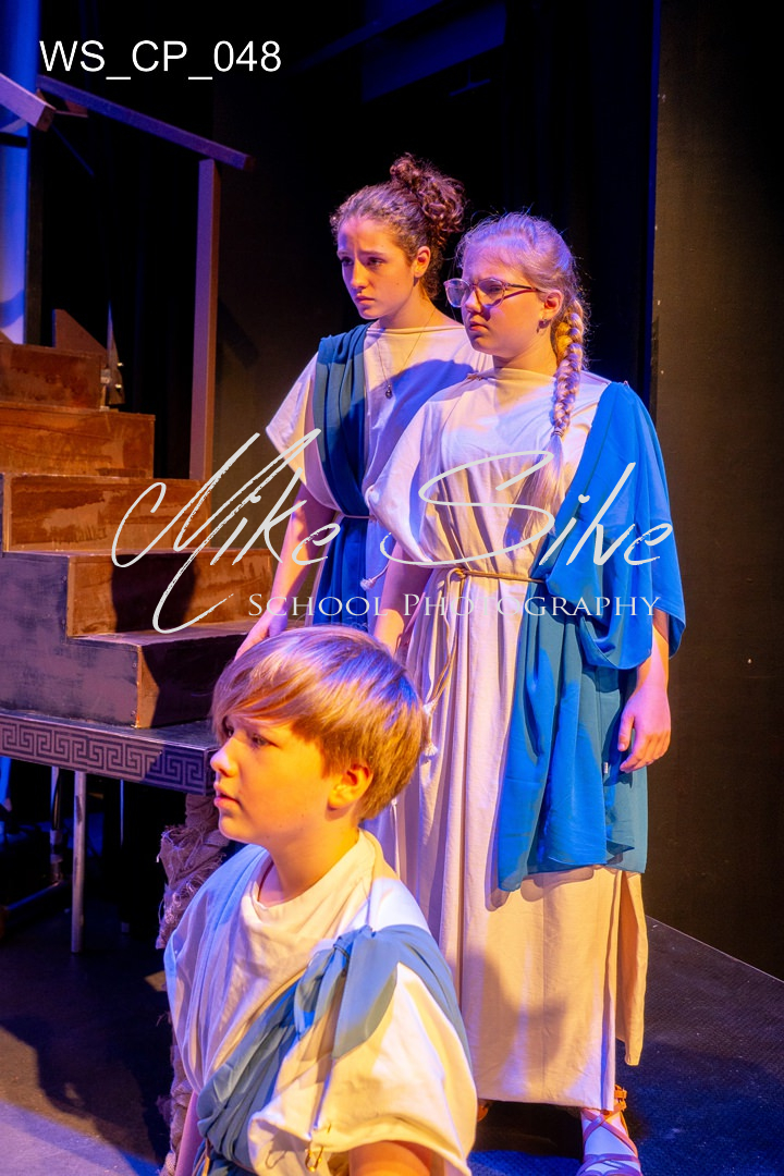 Weydon School The Labyrinth Performance Photographs - MS School Photography